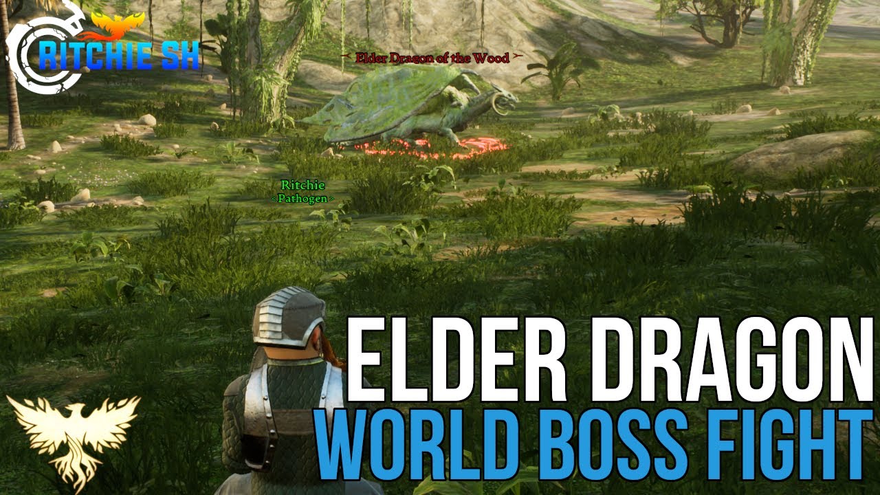 Ashes of Creation MMORPG - Elder Dragon World Boss FIGHT! // ALPHA 1 ...